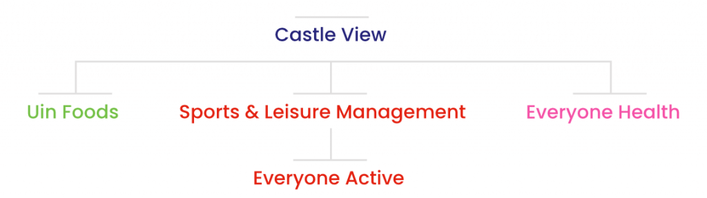 About Us – Castle View Ventures Ltd.