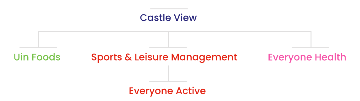 About Us – Castle View Ventures Ltd.